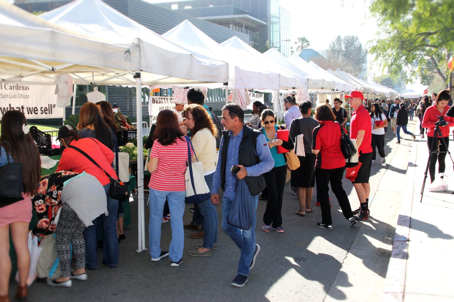 CSUN California State University Northridge - Raw Inspiration